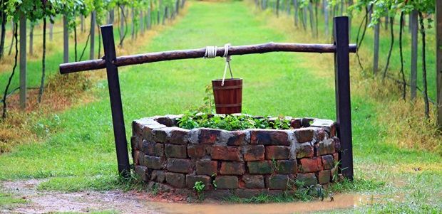 Onderzoek naar PFAS in Putte: maatregelen om blootstelling te vermijden ...